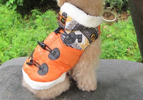 Luxury Knitted Small Dog Hooded Sweatshirts And Coats Pet Garment Lightweight