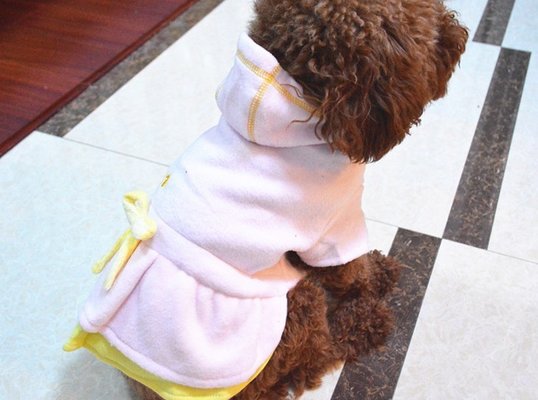 Pet White Medium Pretty Girl Dog Dress Leisure Clothes For Winter