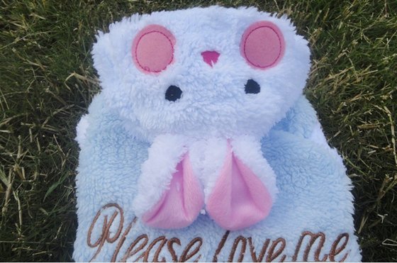 Pet Jumpsuits Light Blue / Pink color , Lovely Rabbit Style medium dog shih tzu clothes