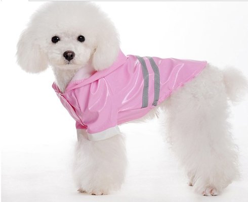Waterproof medium pet clothes reflective dog coats for Letter and Cartoon Pattern