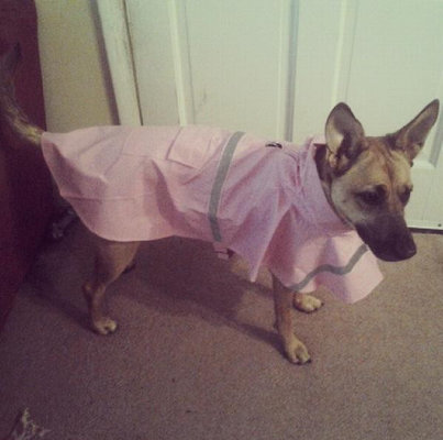 Pets Waterproof Heavy Duty Vinyl Guardian Gear Rain Jacket XXL Dog Raincoat