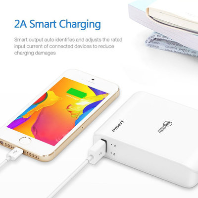 PISEN LED Flashlight CE FCC RoHS Mobile Universal Power Bank 10000mAh Portable Charger