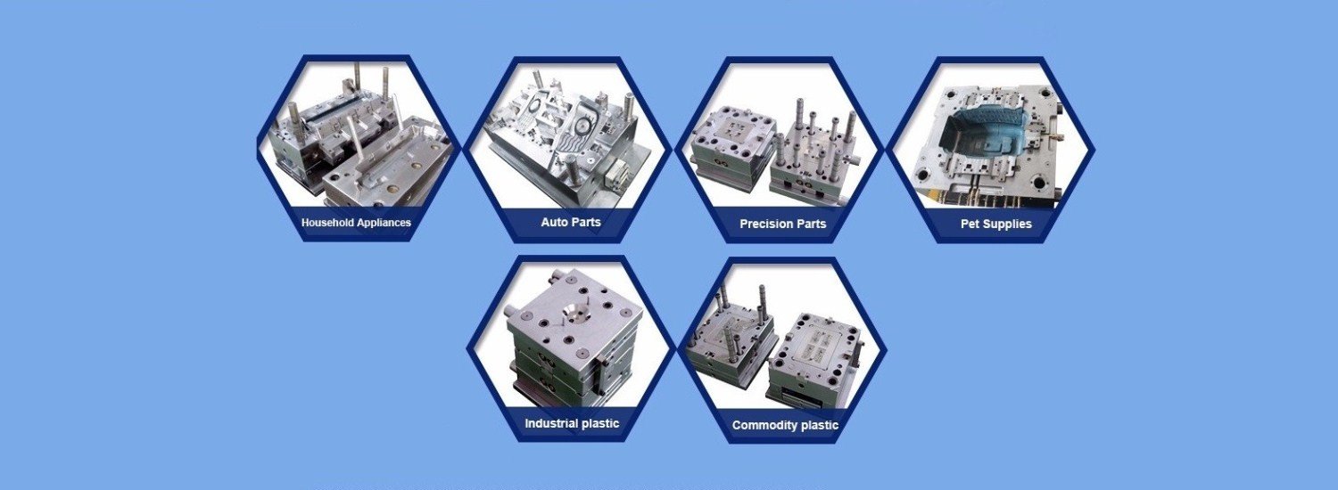 Precision Injection Mould