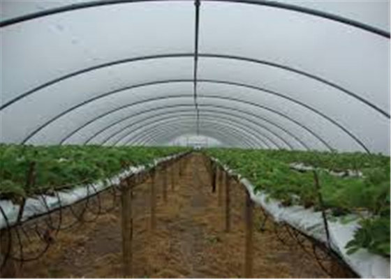 1-11m LDPE Plastic Greenhouse Film For Vegetables And Fruits Planting
