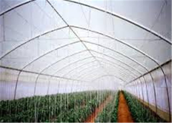 Transparent Greenhouse Coverings Polyethylene Film Prevent Dripping Onto Plants