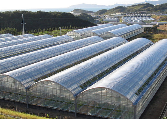Poly Plastic Greenhouse Film Moisture Proof , Blow Molding Processing Type