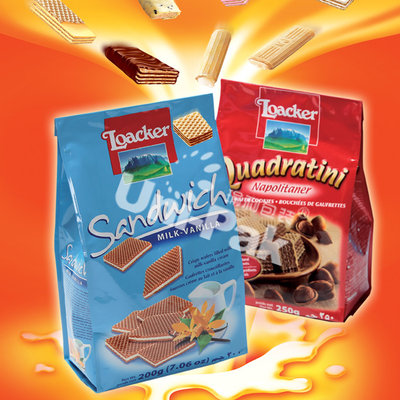 Nuts Gusset  standing up cookies packaging food bag Colorful Printing