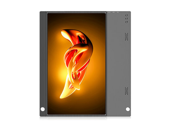 Compact 13.3" Portable Monitor , 580g Portable Gaming Monitor Full View