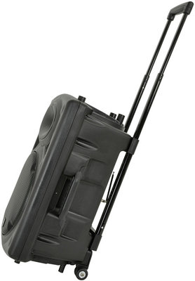 15 Inch Hi Fi Active Portable Trolley Speakers With Bluetooth / Amplifier