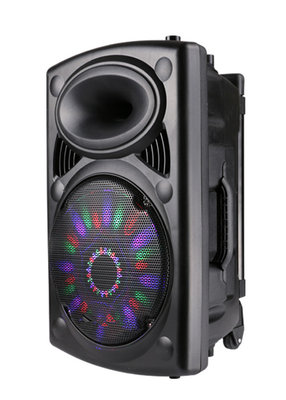 15 Inch Hi Fi Active Portable Trolley Speakers With Bluetooth / Amplifier