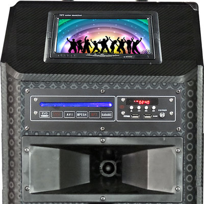 Double 12" Subwoofer Disco Light Bluetooth Speaker With Bass And Microphone