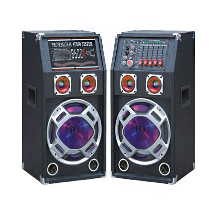 Karaoke 100 Watt Portable Bluetooth PA Speakers With Equalizer And Mic Input
