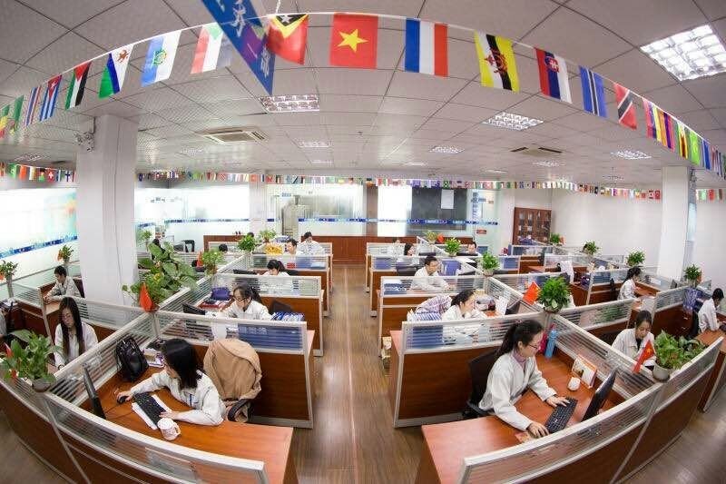 China MEI  SHUN HE ELECTRONIC LIMITED   company profile
