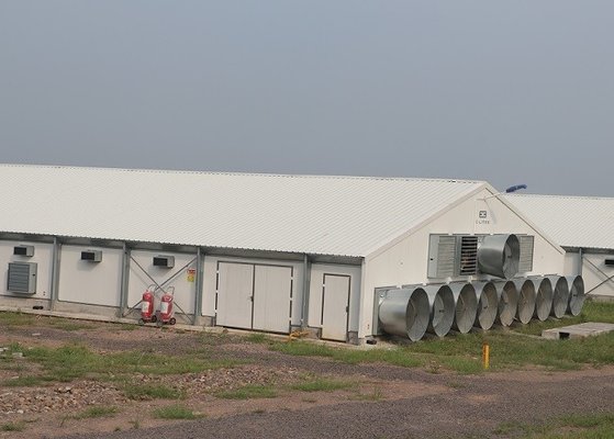 Pre Engineered Steel Structure Poultry House Chicken Housing Structures