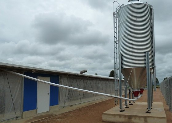 Pre - Engineered Steel Chicken Houses Gabled Steel Structure With Feed Box