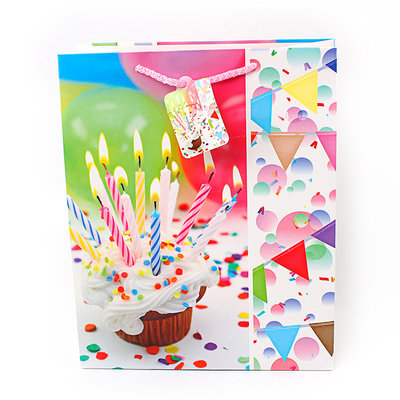 Custom paper shopping bags logo coated birthday present paper bag supplier