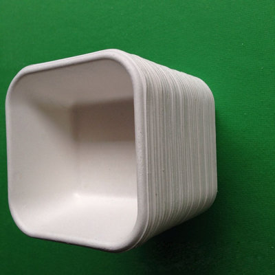 biodegradable eco-friendly dinnerware sugarcane square shaped food tray supplier