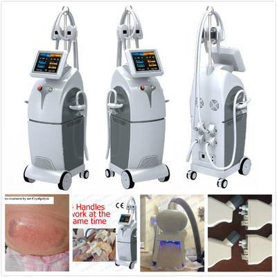 Vertical Cryolipolysis Body Slimming Machine , Safe Fat Burning Equipment