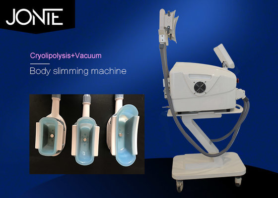 2 handles Cryolipolysis Slimming Machine OEM Zeltiq Cool Sculpting