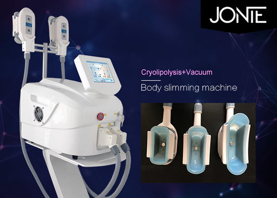 Vertical freeze Fat Freeze Slimming Machine , Vacuum slimming machine multifunctional