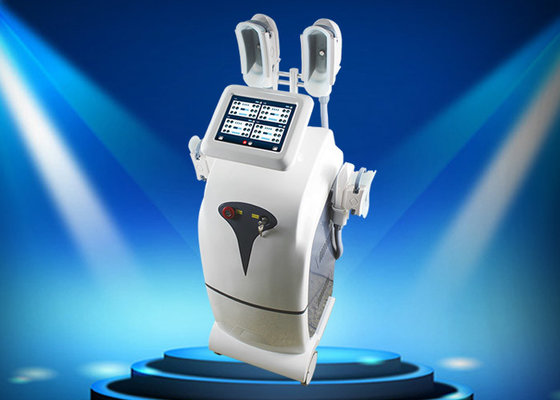 Vertical Cryolipolysis Cavitation Machine for Weight Loss , Fat Reduce Machine