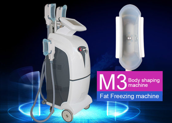Vertical Loss Weight Machine Cryolipolysis Body Slimming Machine With Vacuum