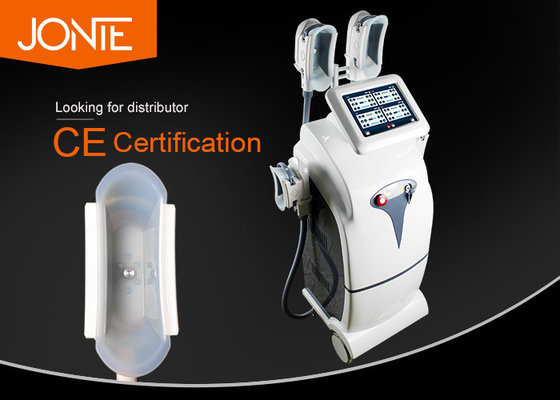 Hot seller vertical fat freezing cryolipolisis coolsculpting cryolipolysis machine