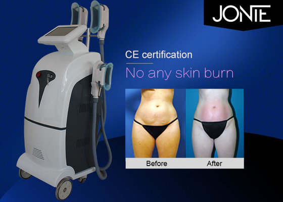 Sculpture Fat Freeze Cryolipolysis Machine , Weight Loss Equipment Slimming Machine 2000 Watt