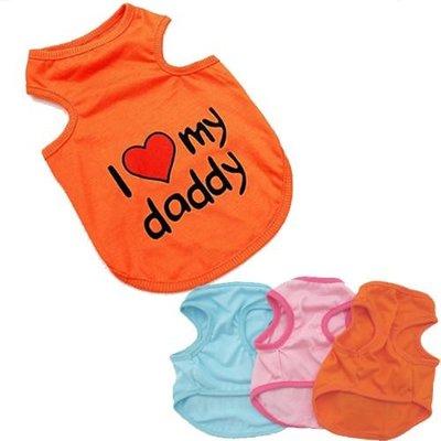 Pet clothes