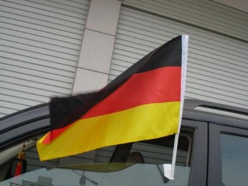 Polyester Advertising Car Flag