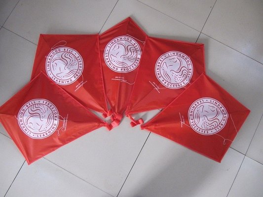 190T polyester promotion kite, parafoil kite