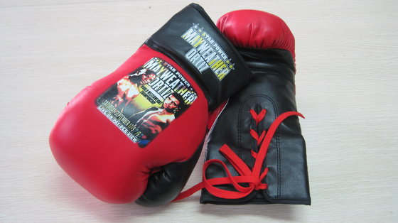 Lace Up PU Sparring gloves