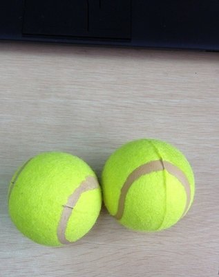 pet ball
