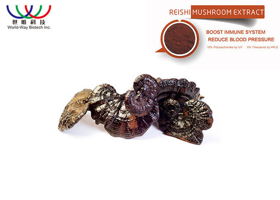 Custom Red Reishi Mushroom Powder , Food Grade Reishi Mushroom Spore Powder