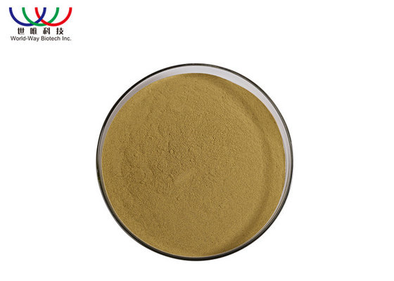 Pharmaceutical Fenugreek Methi Extract Powder , Natural Herbal Organic Fenugreek Powder