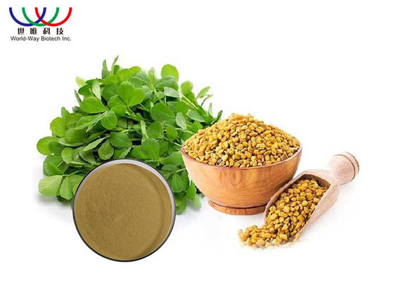 Pure Fenugreek Extract Powder 20 % 4 - Hydroxy Isoleucine Pharmaceutical Grade
