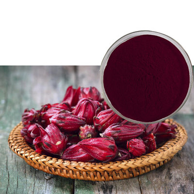 Organic Hibiscus Extract Powder , Hibiscus Flower Extract 3% Polyphenol