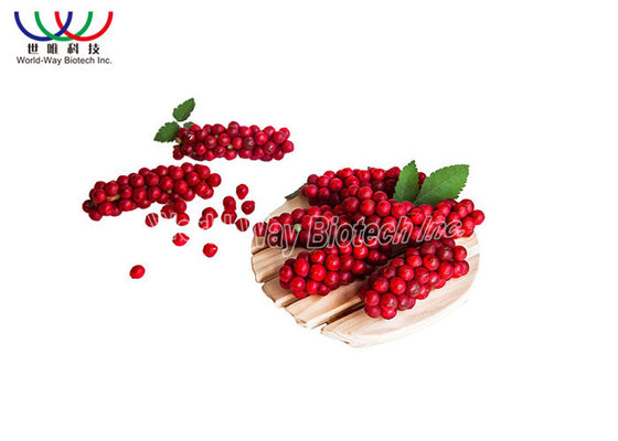 Medical  Schisandra Chinensis Extract Anti - Aging For Boosting Liver Function