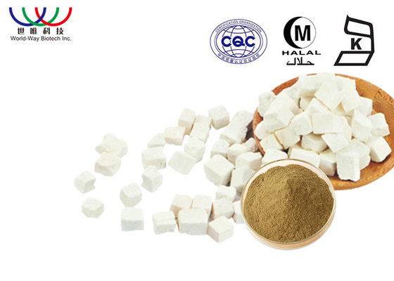 Extracto orgánico del Sclerotium de los Cocos de Poria, pérdida de peso de los Cocos de Poria para la medicina herbaria