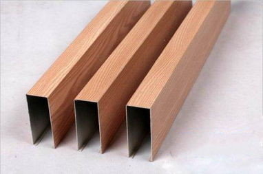 Perforated Howllow Architectural Aluminium Panels For Curtain Wall/Curtain Wall Cladding