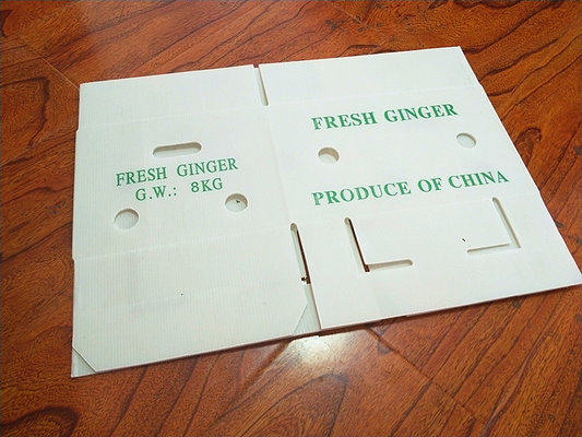 Waterproof/resuable pp foldable fresh ginger/okra packaging box