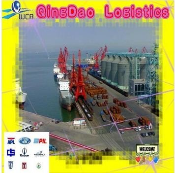door to door  international  transportation  from Qingdao/Shanghai/Ningbo
