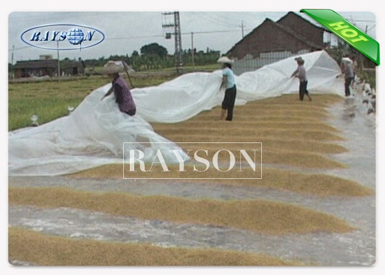PP Nonwoven Frost Protection Fleece with 3 years' guaranteer 17gram