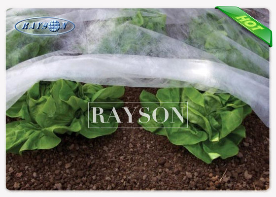 White 100% Virgin Polypropylene Plant Protection Fleece For Ground Cover