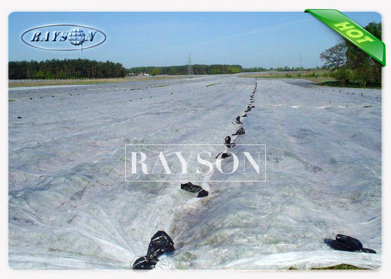 Agriculture Winter Frost Protection Fabric Spunbond Air Prmeable Non Woven / Spunbonded Technics