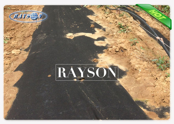Strong / Durable Spunbond Non Woven Landscape Fabric Geotextile for Agriculture , Gardening