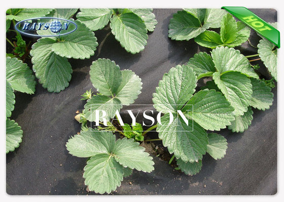 Strong / Durable Spunbond Non Woven Landscape Fabric Geotextile for Agriculture , Gardening
