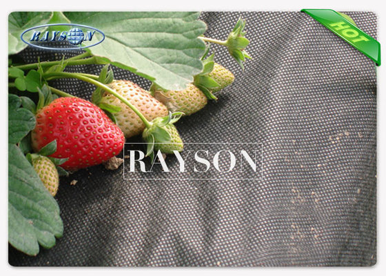 Agriculture Weed Control Nonwoven Ground Cover / Weed Mat For Crops Growth