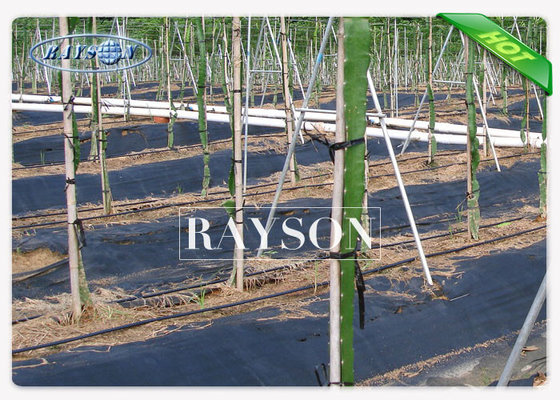 2% UV - Resistance Non Woven Landscape Fabric , Black Weed Control Fabric