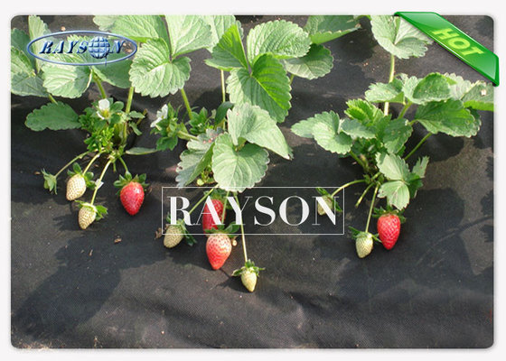 Black Weed Control Mat Garden Weed Control Fabric 100% Virgin Polypropylene